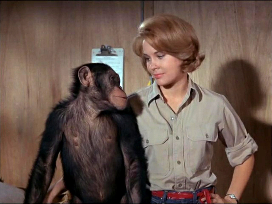 Cheryl Miller - actress - biography, photo, best movies and TV shows