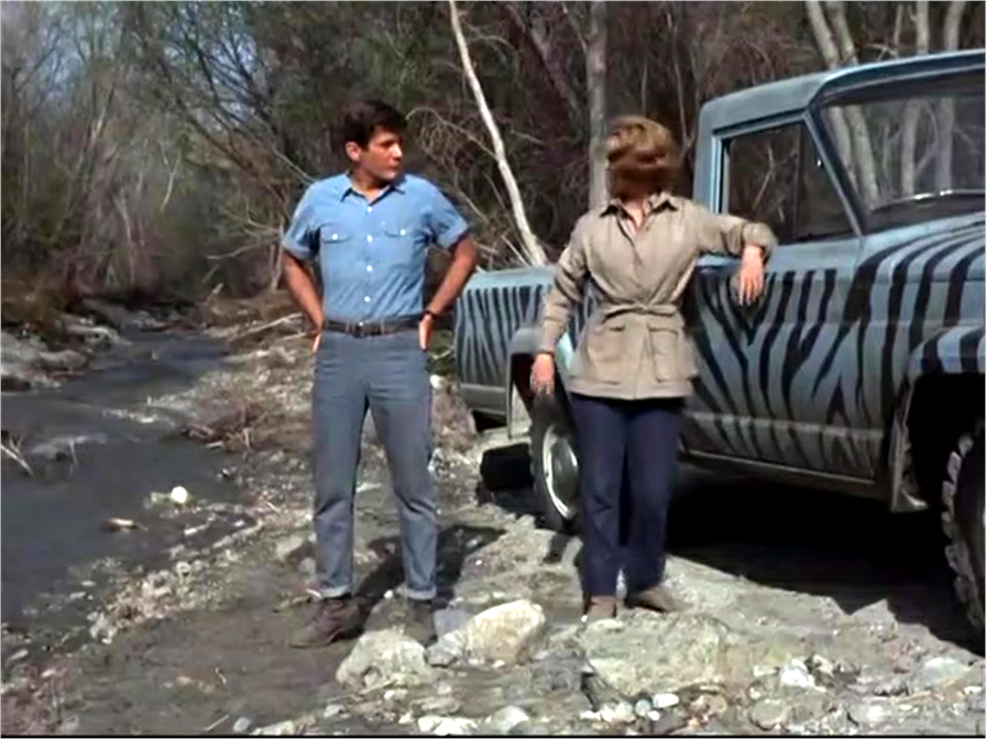 Cheryl Miller - actress - biography, photo, best movies and TV shows