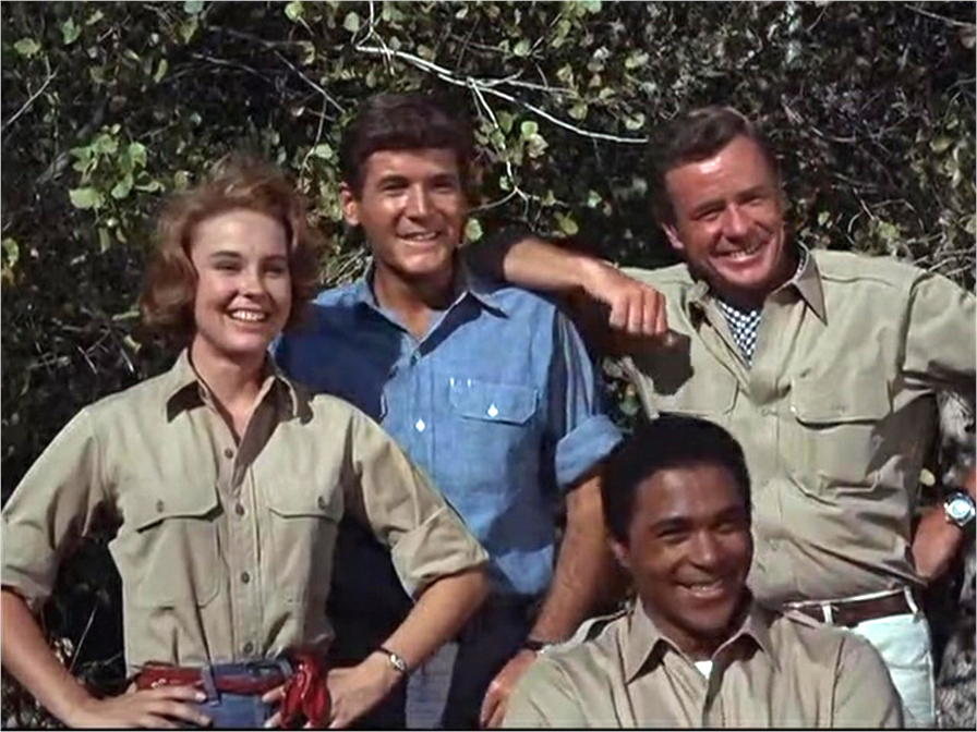 Cheryl Miller - actress - biography, photo, best movies and TV shows