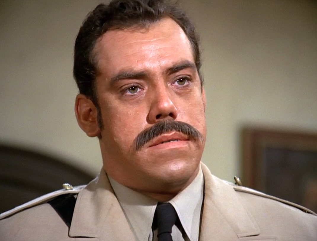 John Schuck - actor - biography, photo, best movies and TV shows