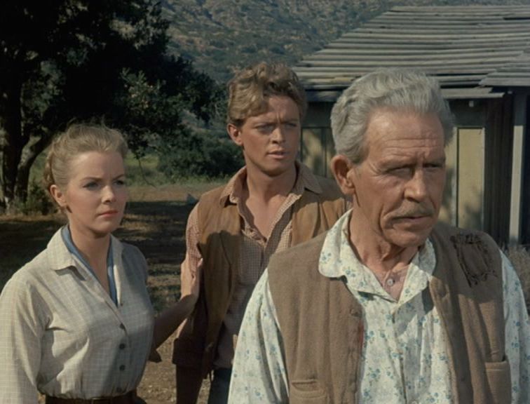 Kenneth MacDonald - actor - biography, photo, best movies and TV shows