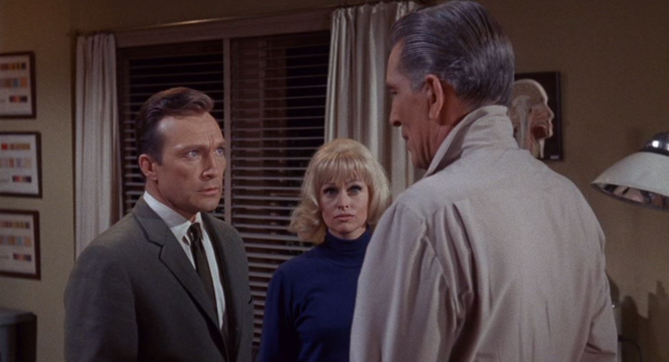 Karen Steele - actress - biography, photo, best movies and TV shows