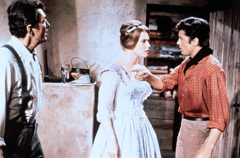 Rosemary Forsyth - actress - biography, photo, best movies and TV shows