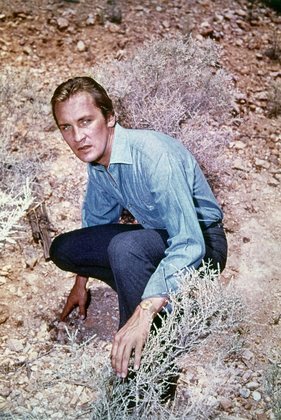 Roy Thinnes - actor - biography, photo, best movies and TV shows