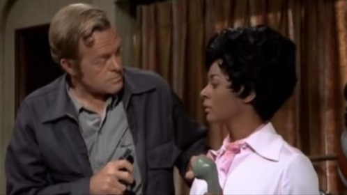 Kevin Hagen - actor - biography, photo, best movies and TV shows