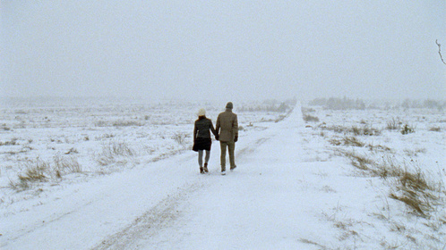 Labrador (movie, 2011)