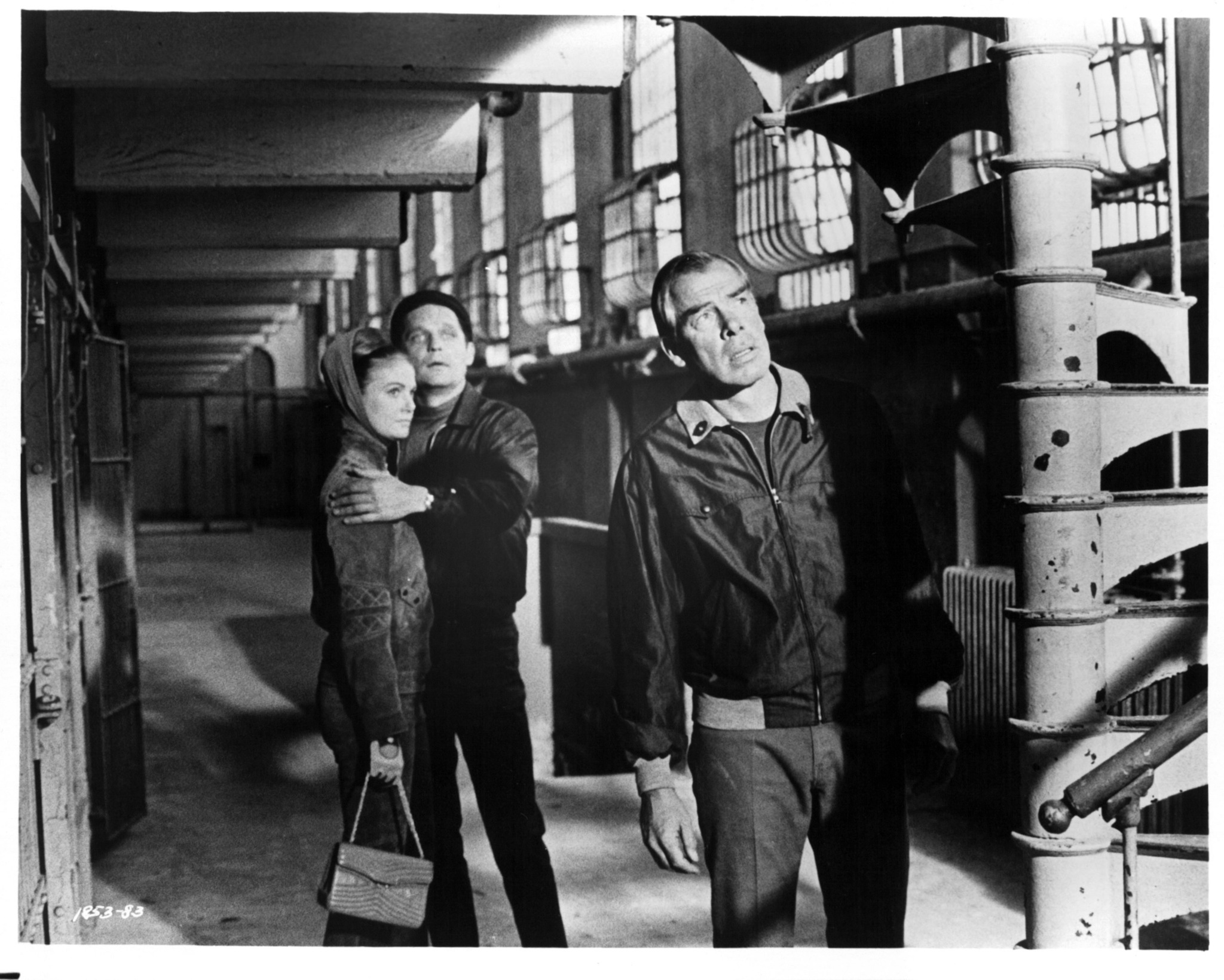 John Vernon - actor - biography, photo, best movies and TV shows