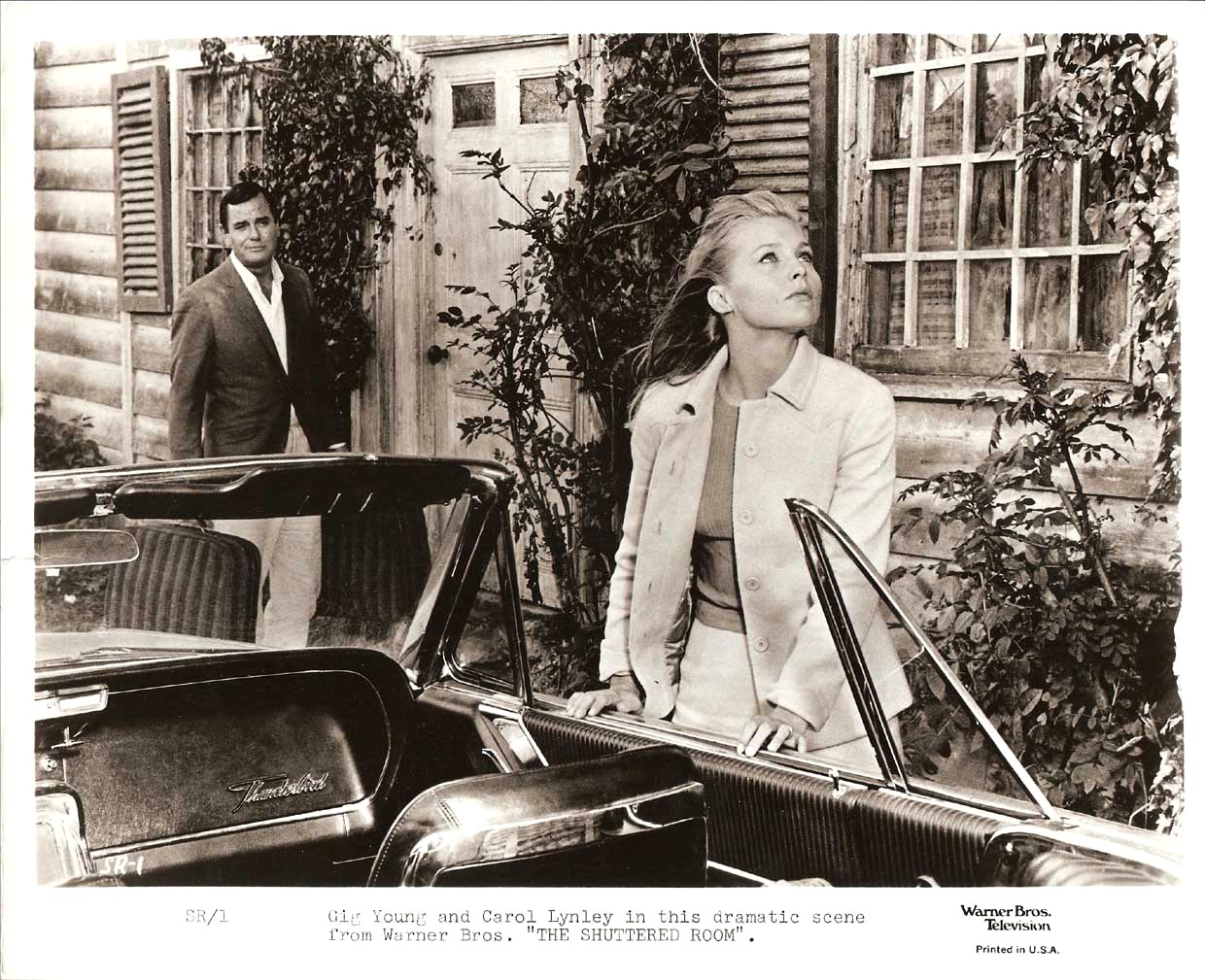 Carol Lynley - actress - biography, photo, best movies and TV shows