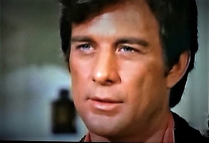 James Stacy - actor, producer - biography, photo, best movies and TV shows