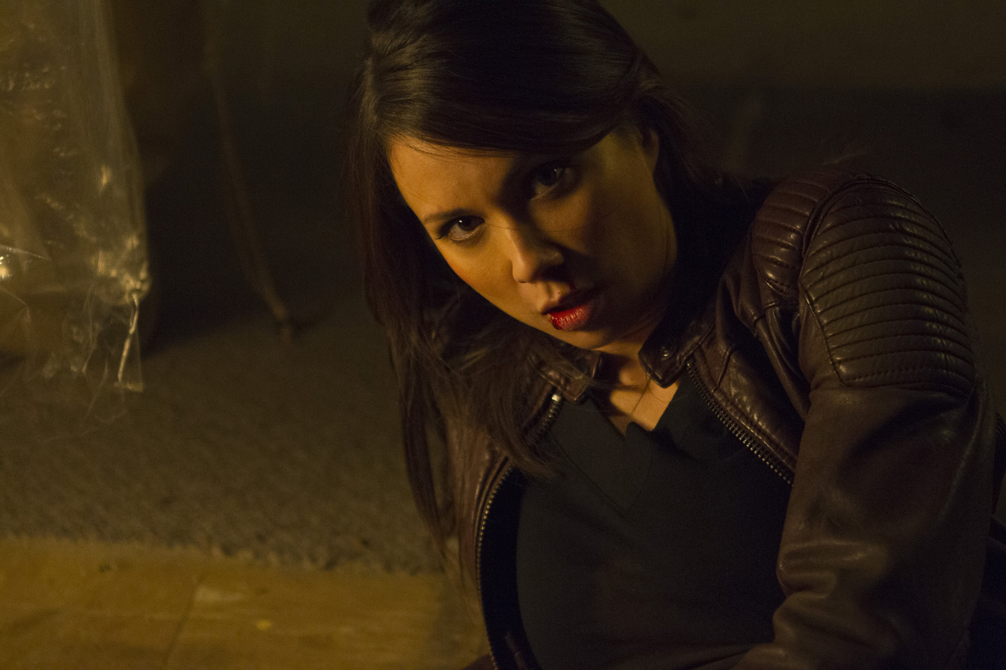 Lexa Doig - actress - biography, photo, best movies and TV shows