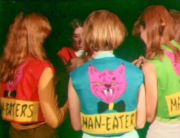 She-Devils on Wheels (movie, 1968)