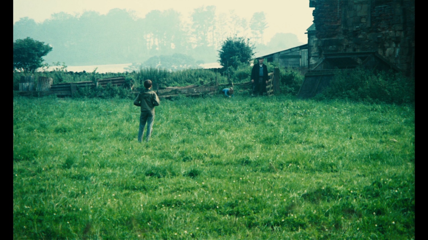 Kes (movie, 1969)