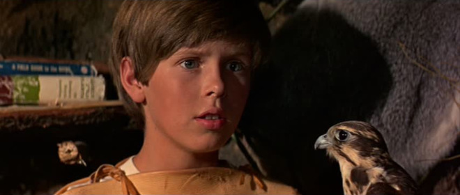 Ted Eccles - actor, director, producer