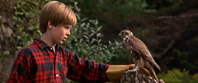 Ted Eccles - actor, director, producer