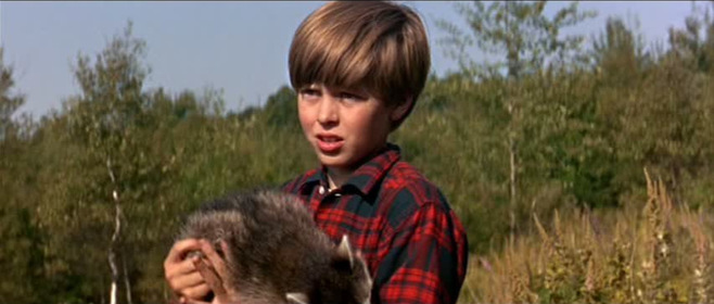 Ted Eccles - actor, director, producer