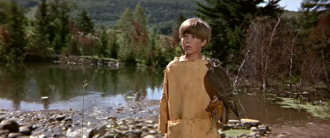 Screenshots - My Side of the Mountain