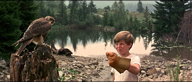 Ted Eccles - actor, director, producer