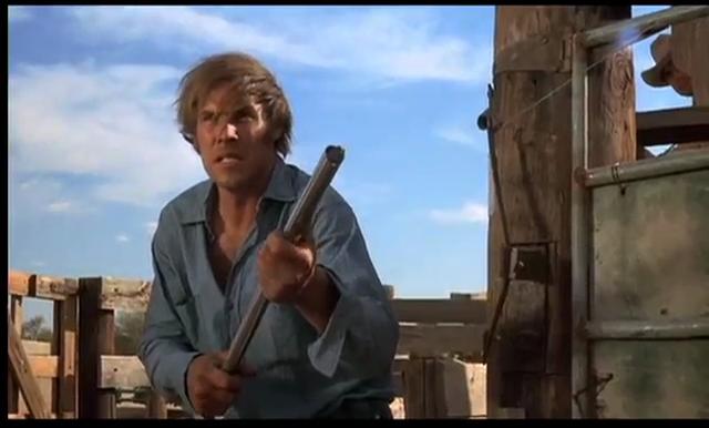 Don Stroud - actor, producer - biography, photo, best movies and TV shows