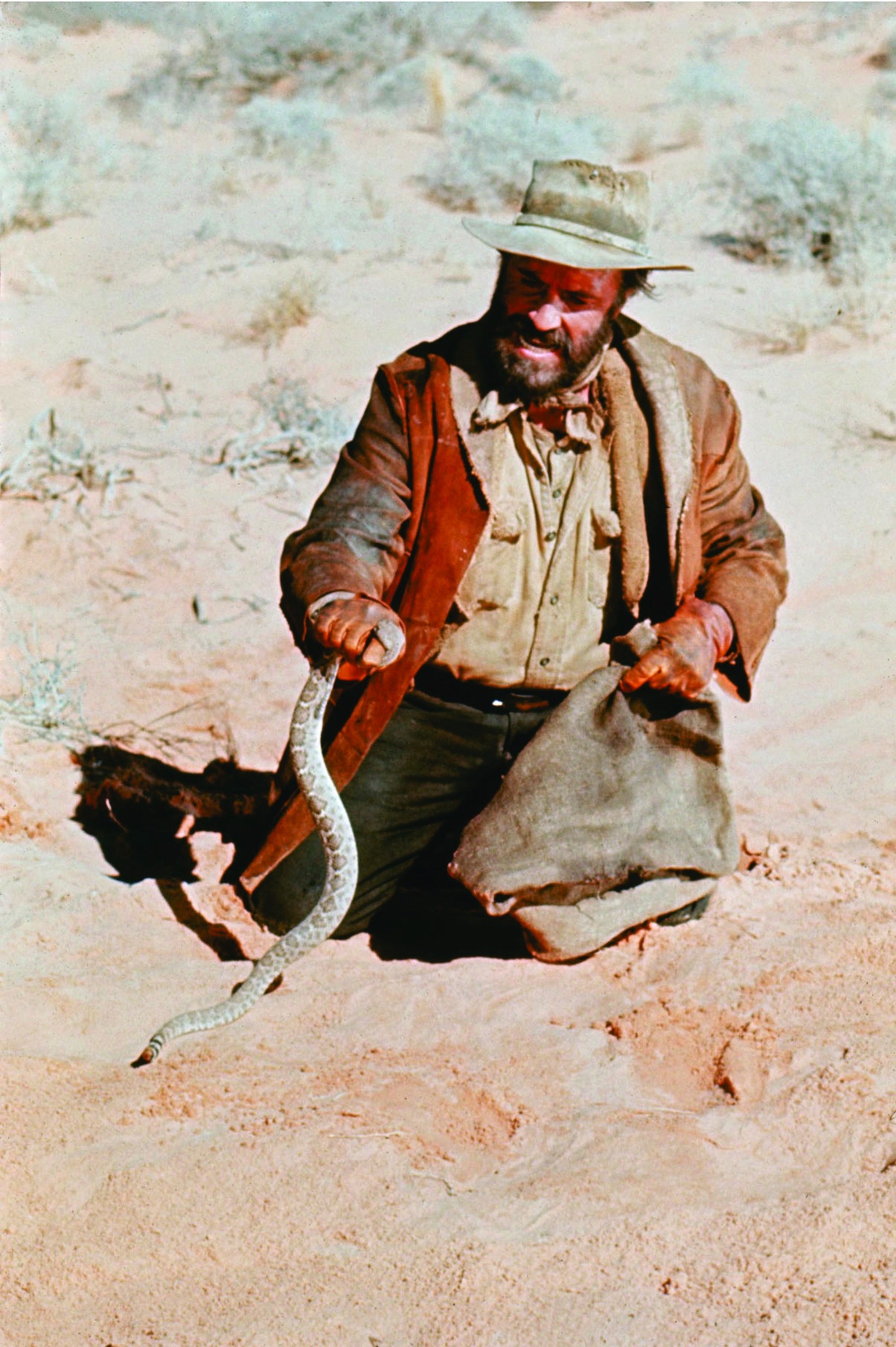 Jason Robards - actor - biography, photo, best movies and TV shows