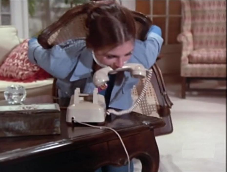 Susan Saint James - actress - biography, photo, best movies and TV shows