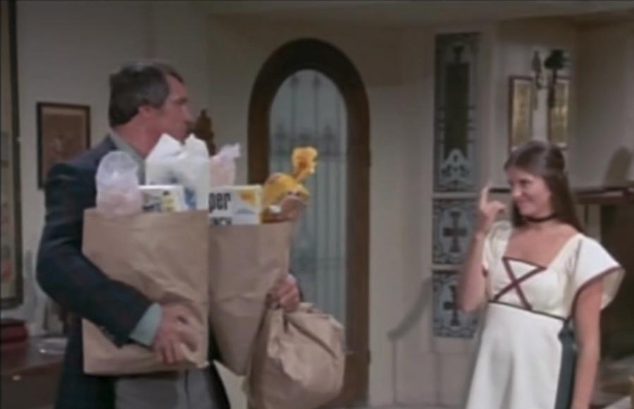 Susan Saint James - actress - biography, photo, best movies and TV shows