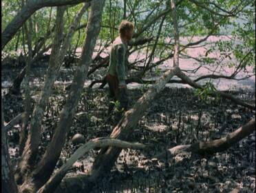 How Tasty Was My Little Frenchman (movie, 1971)