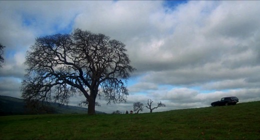 Screenshots - Harold and Maude