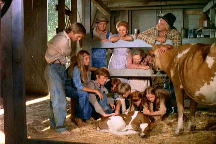 Will Geer - actor - biography, photo, best movies and TV shows