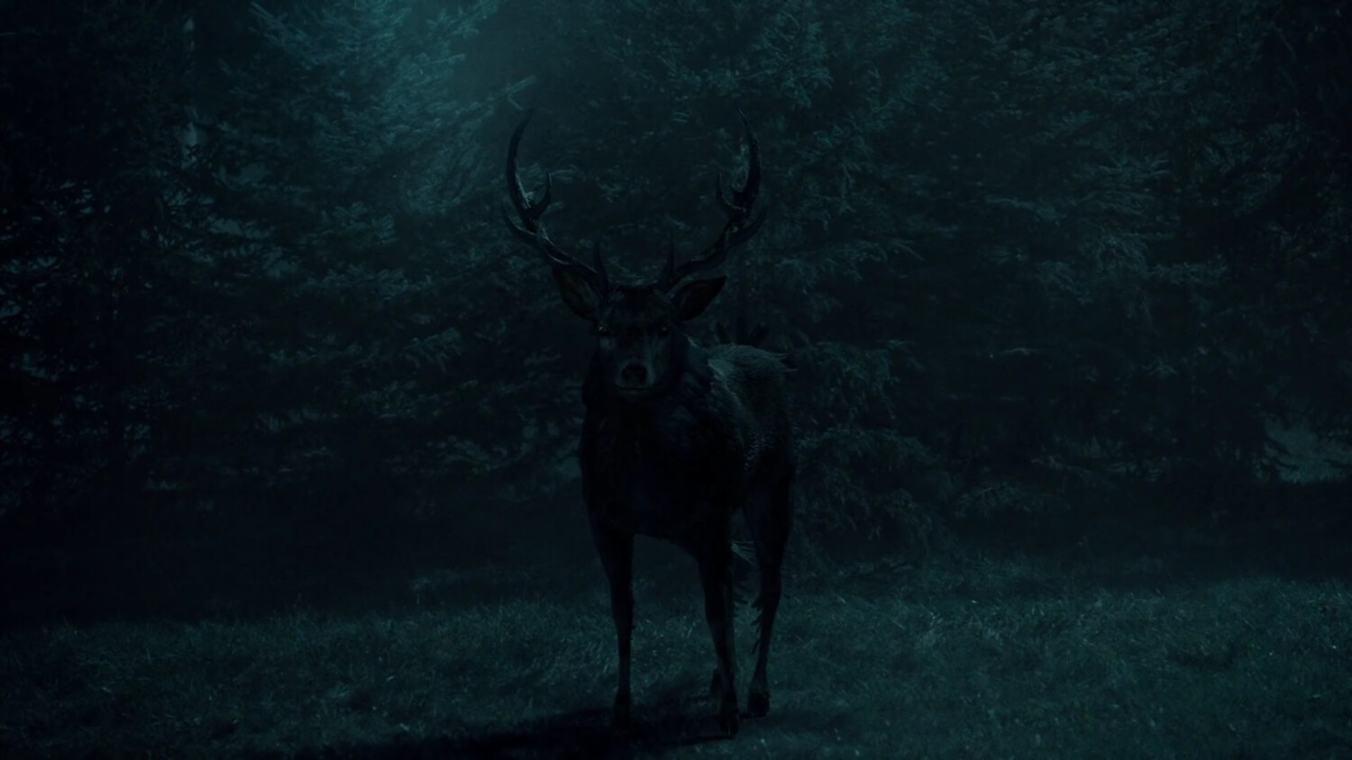 Screenshots - Hannibal