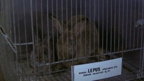 Screenshots - Night of the Lepus