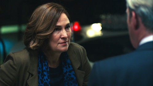 Andrea Irvine - actress - biography, photo, best movies and TV shows