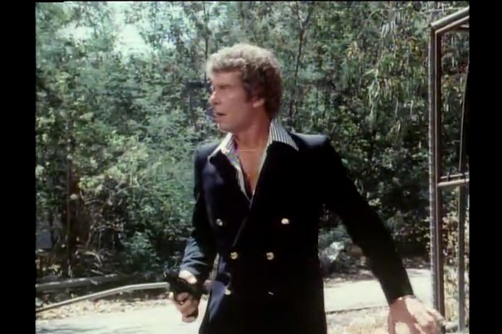 Robert Reed - actor, director - biography, photo, best movies and TV shows