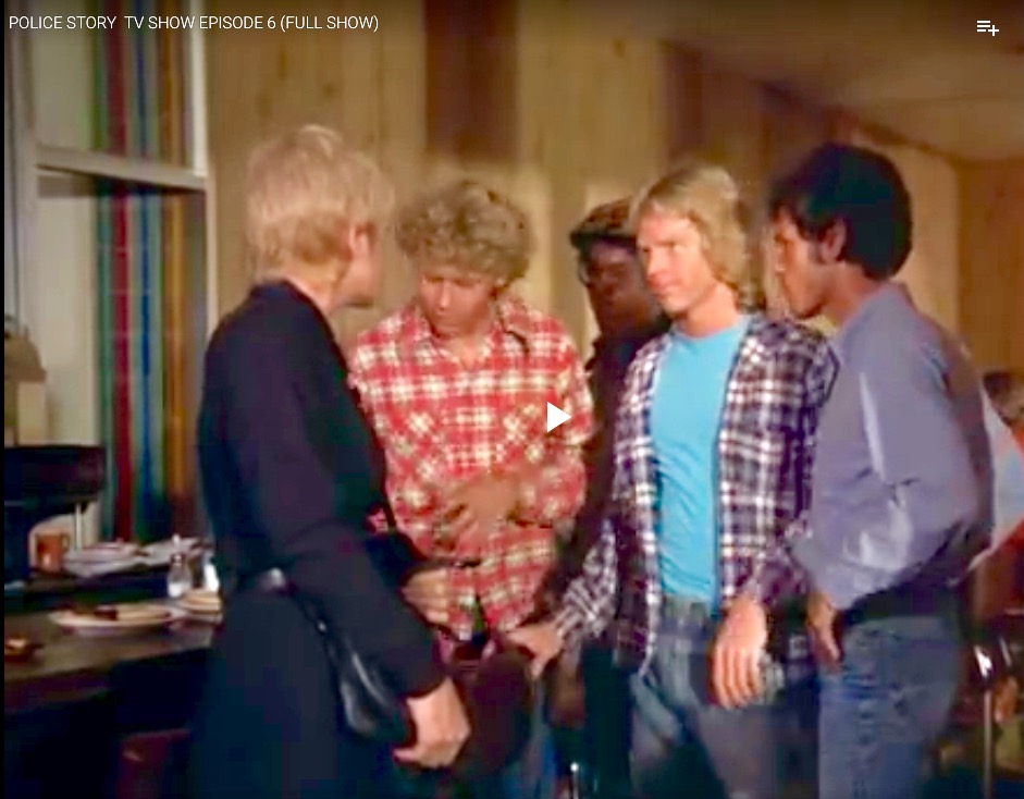 Sue Ane Langdon - actress - biography, photo, best movies and TV shows