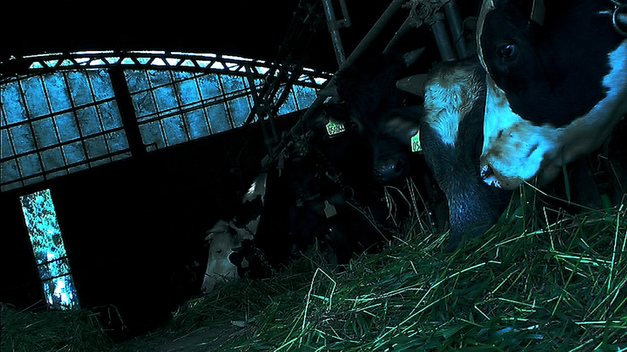 Screenshots - Taeter City