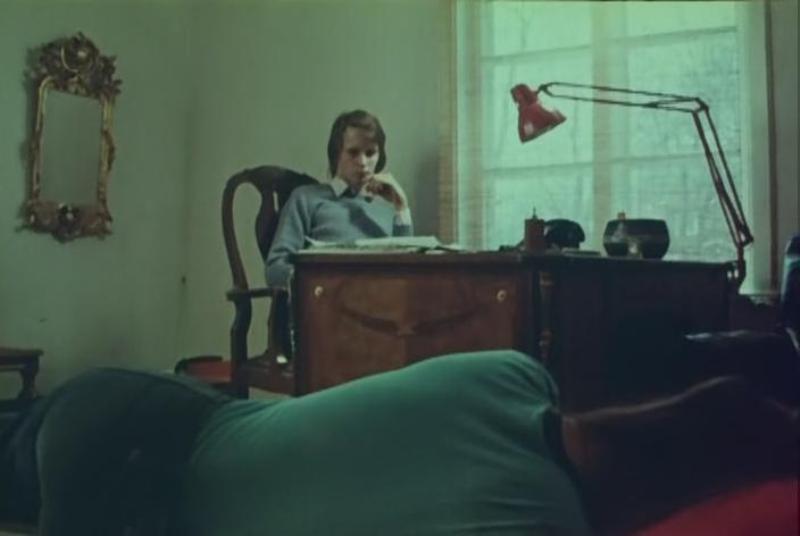 Screenshots - Anita: Swedish Nymphet