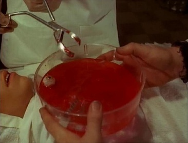 The Body Shop (movie, 1972)