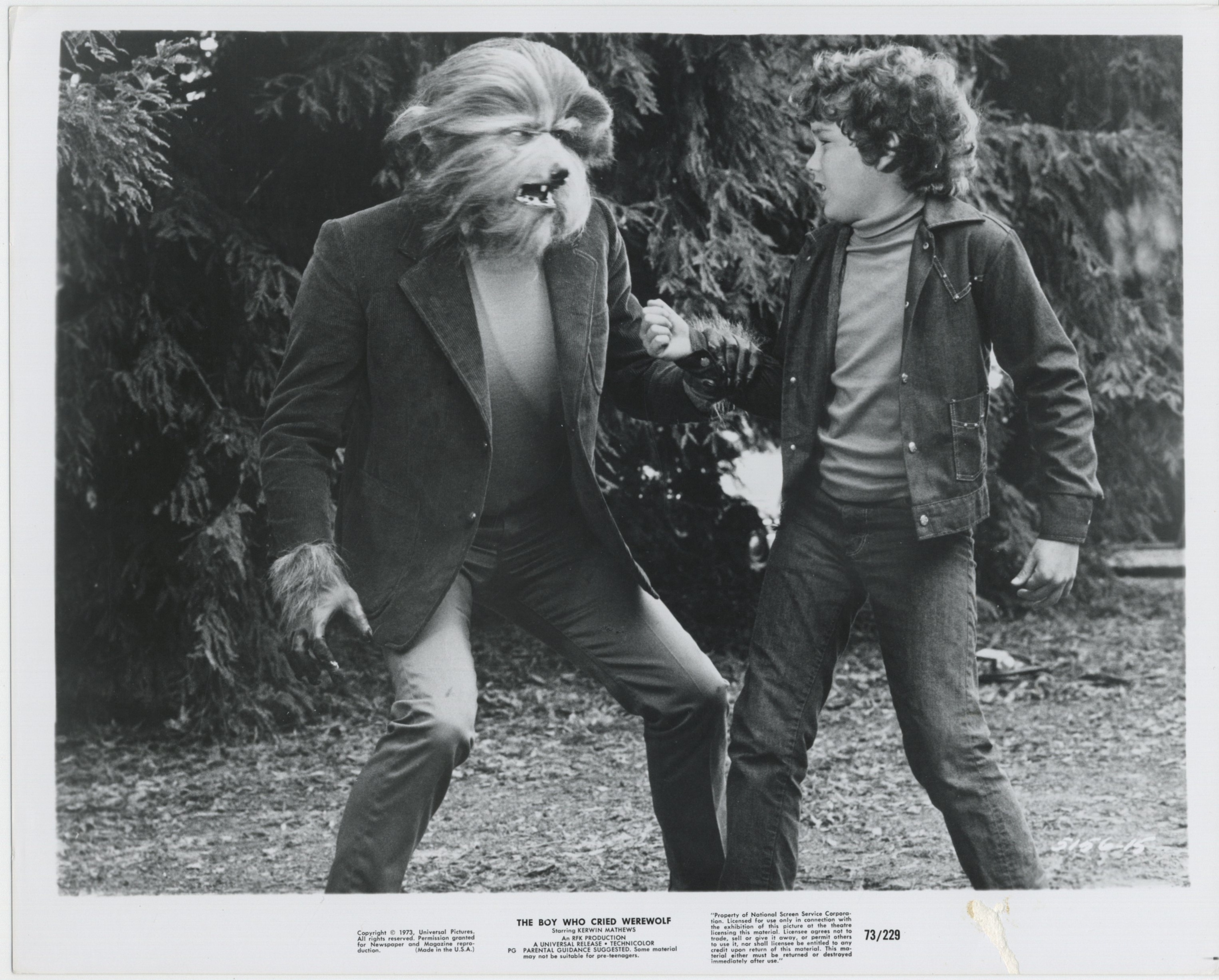 Kerwin Mathews - actor - biography, photo, best movies and TV shows