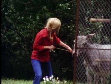 Broken Butterfly (movie, 1975)