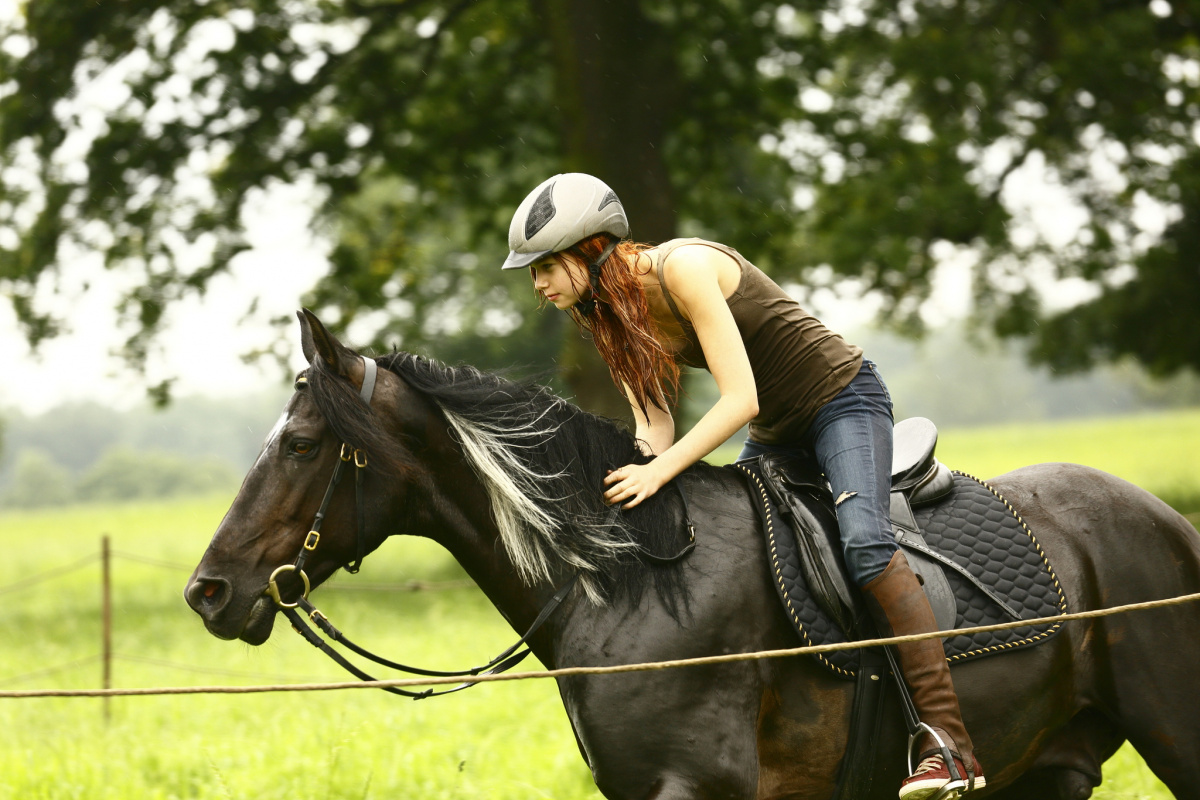 Windstorm (movie, 2013)