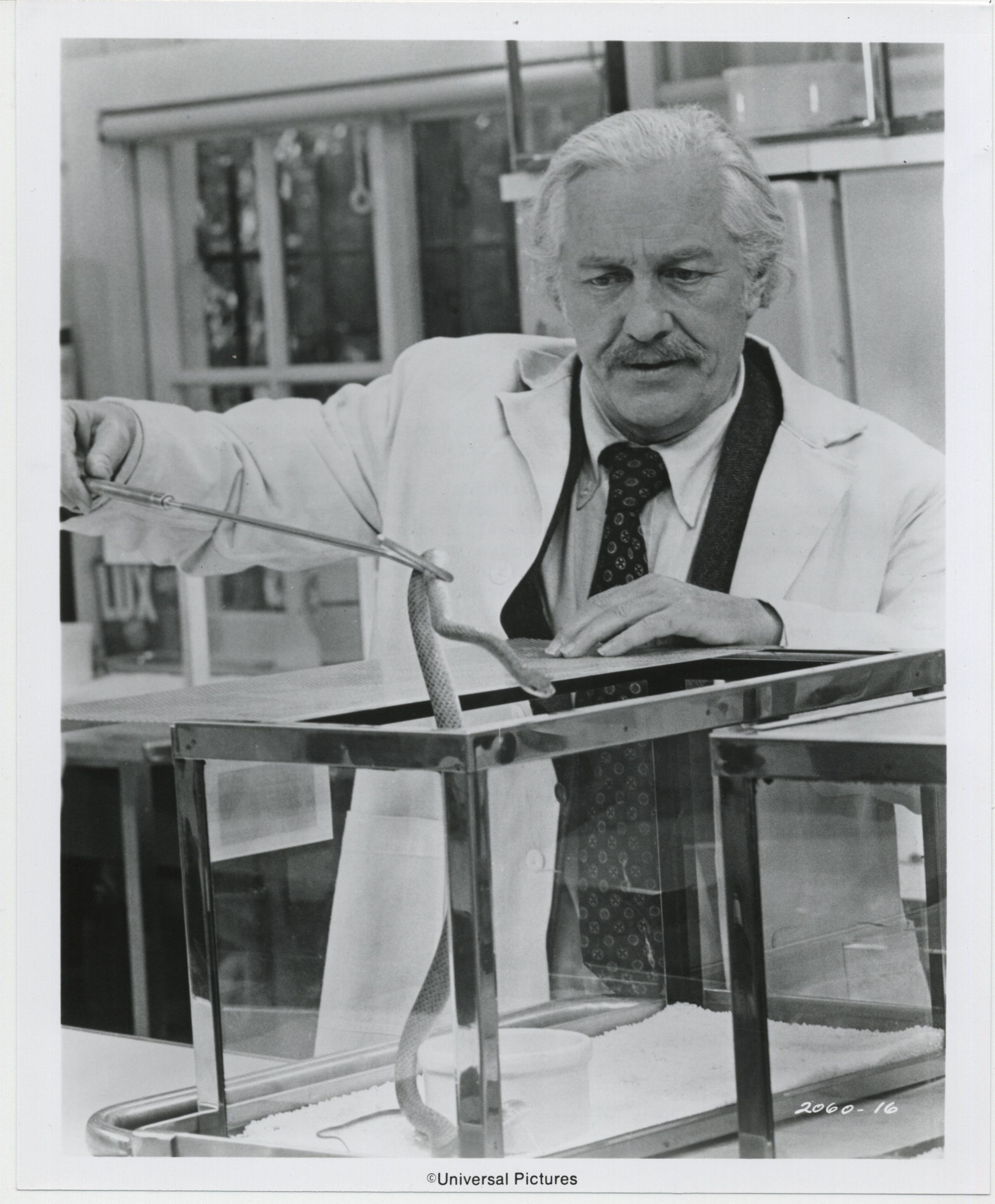 Strother Martin - actor - biography, photo, best movies and TV shows