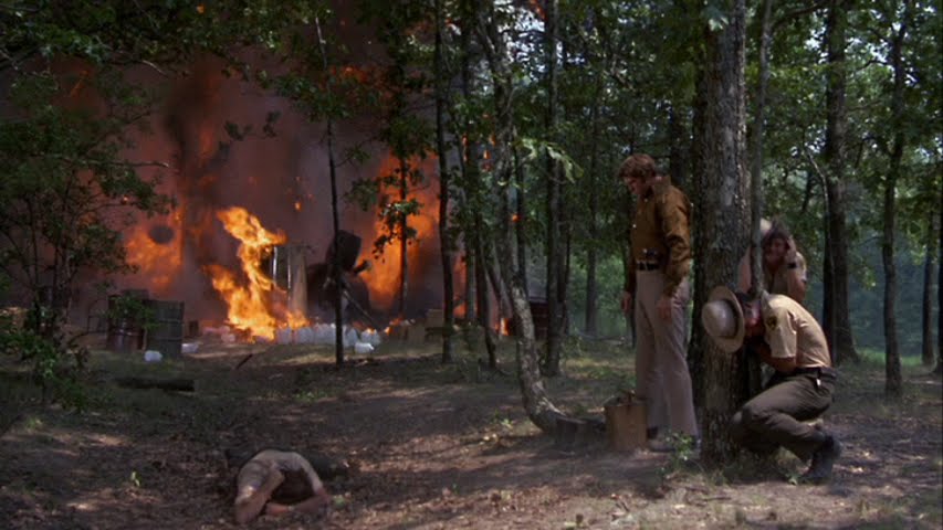 Ted Jordan - actor - biography, photo, best movies and TV shows