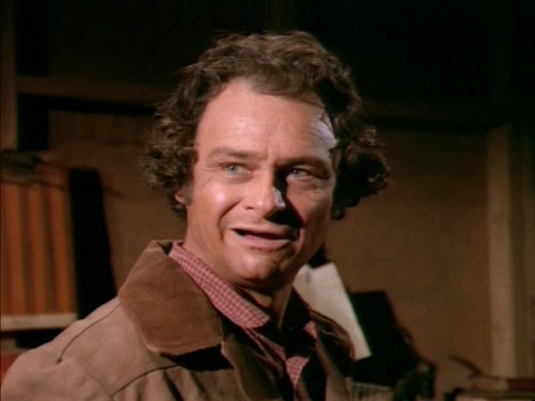 Jerry Hardin - actor - biography, photo, best movies and TV shows