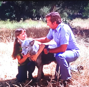 Conlan Carter - actor - biography, photo, best movies and TV shows