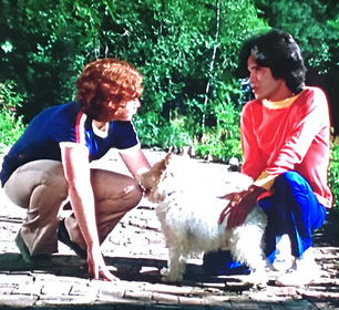 Michael Gray - actor - biography, photo, best movies and TV shows