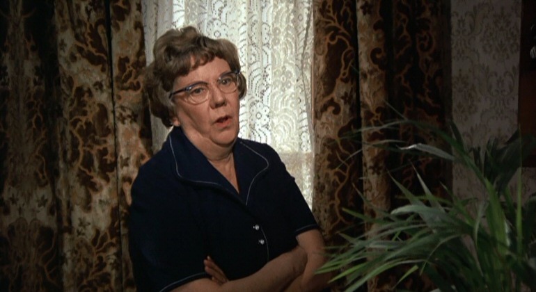 Confessions of a Window Cleaner (movie, 1974)