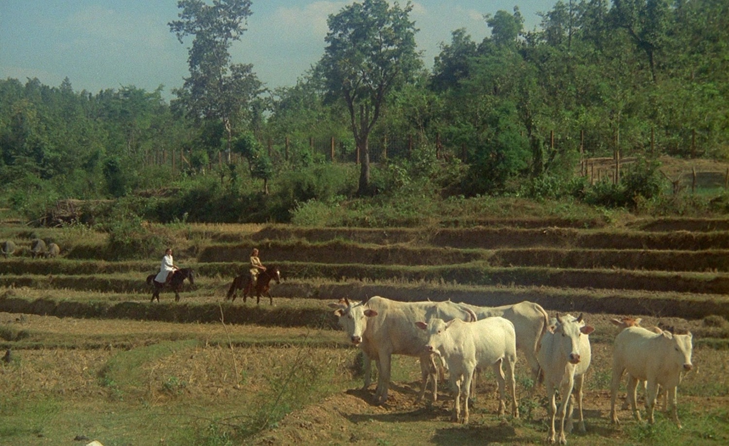 Emmanuelle (movie, 1974)