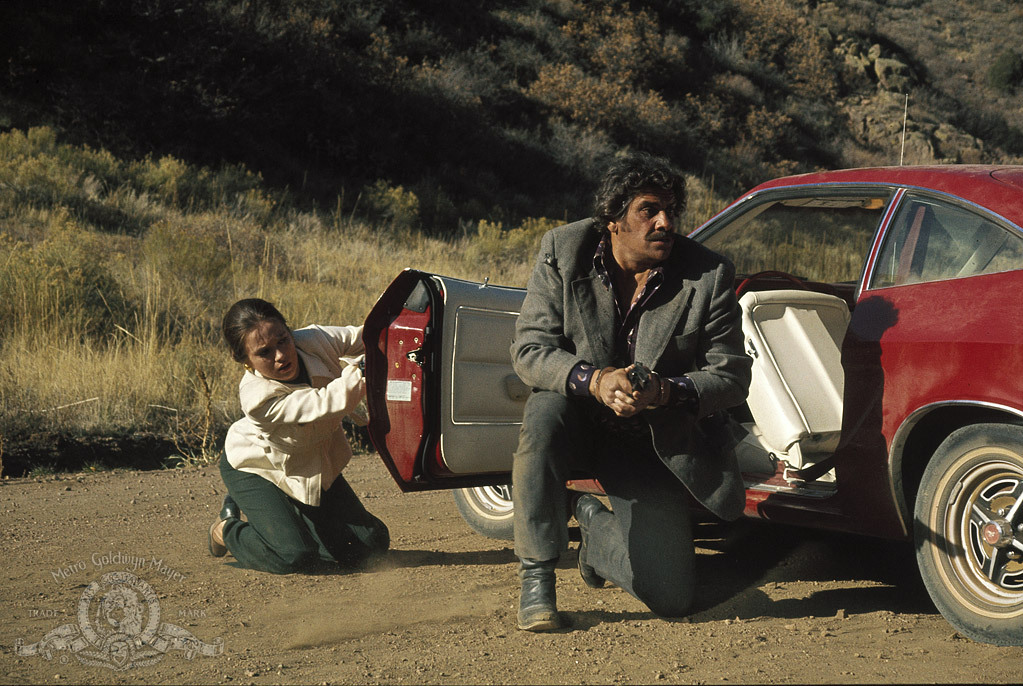 Al Lettieri - actor, writer, producer