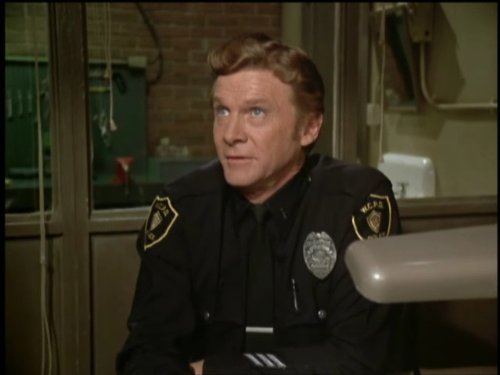 Steve Forrest - actor - biography, photo, best movies and TV shows