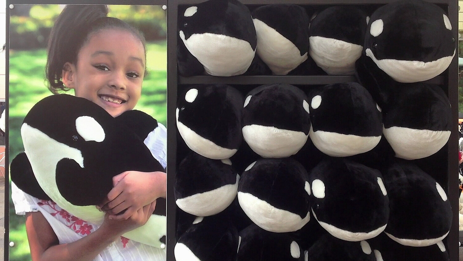 Screenshots - Blackfish