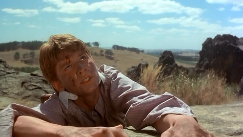 Dominic Guard - actor - biography, photo, best movies and TV shows